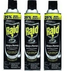 Raid - Raid Wasp and Hornet Spray- 3 Pack - Walmart Business Supplies