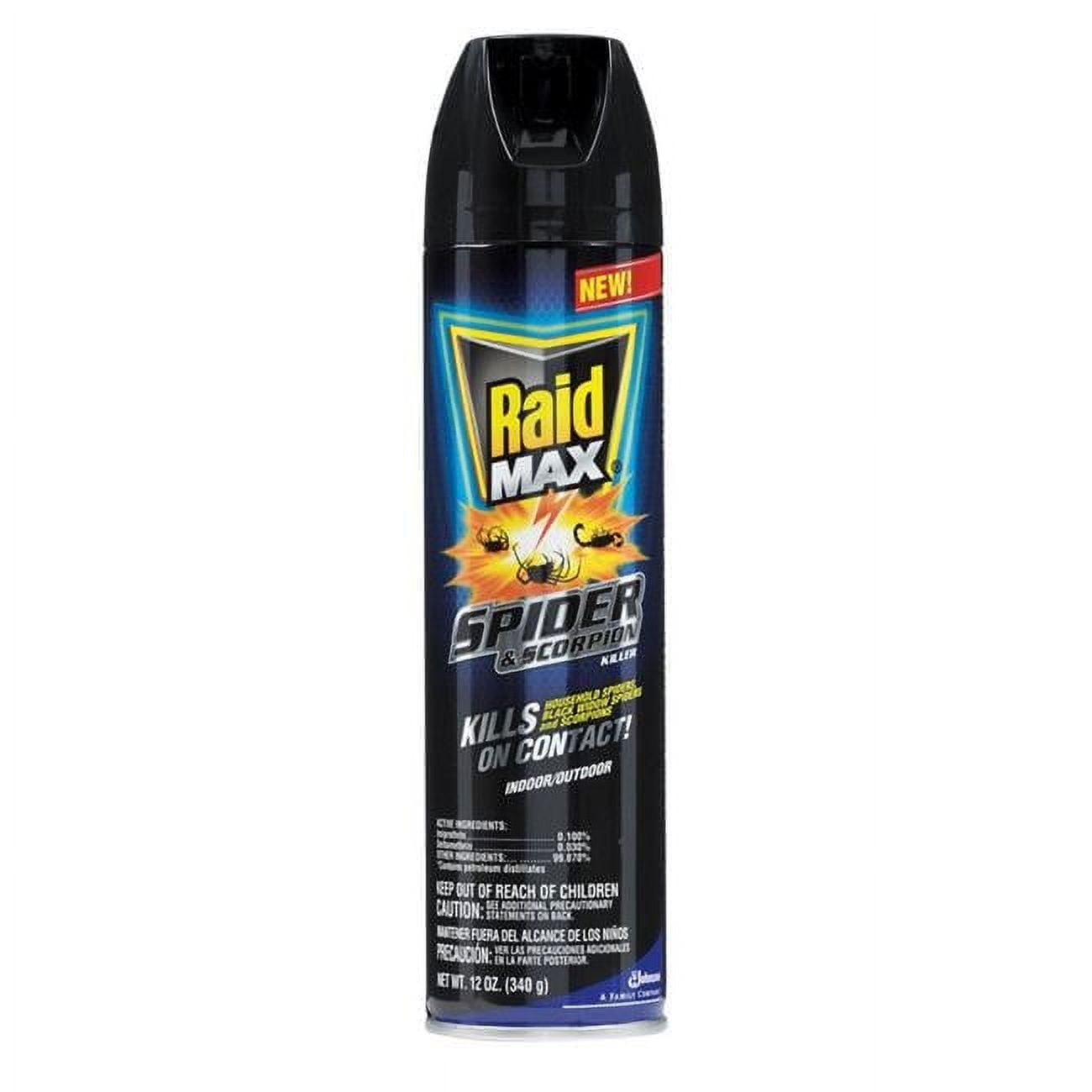 Raid Spider & Scorpion Killer - Walmart.com