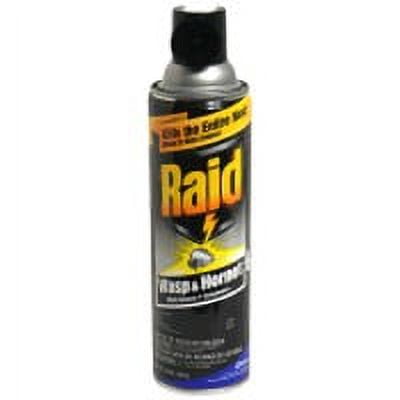 Raid Wasp And Hornet Killer Spray - 14 Oz - Walmart.com