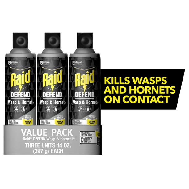 Raid Wasp & Hornet Killer 33, Outdoor Flying Insect Spray, 14 oz, 3 ...