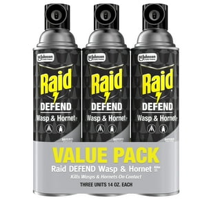 Raid Bug Spray
