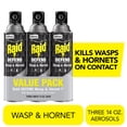 Raid Defend Wasp & Hornet Killer, Outdoor Flying Insect Spray, 14 oz, 3 ...