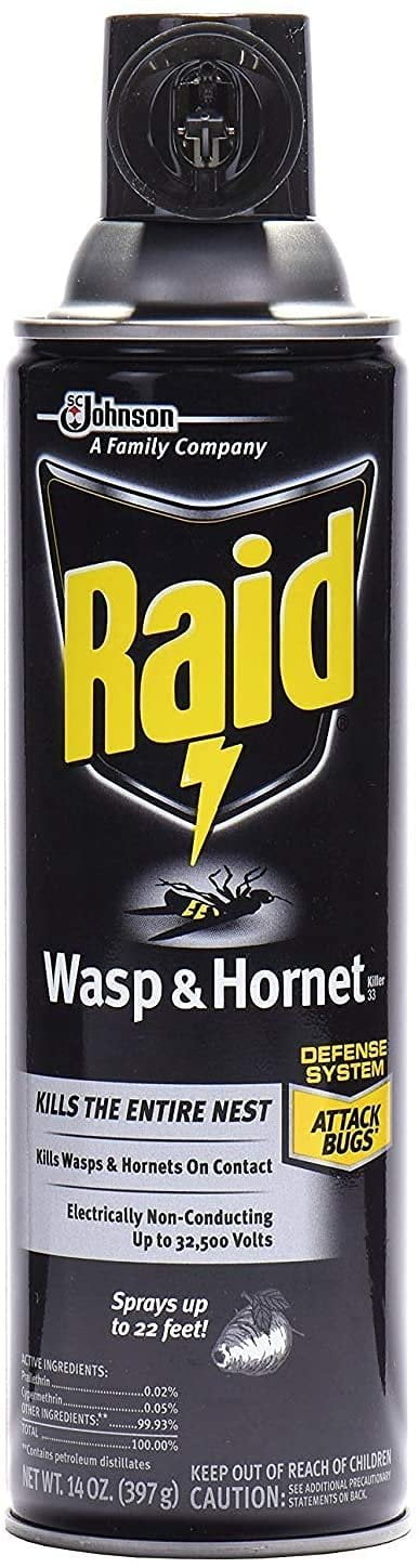Raid Wasp Hornet Killer Spray 14 Ounce Pack of 1 - Walmart.com