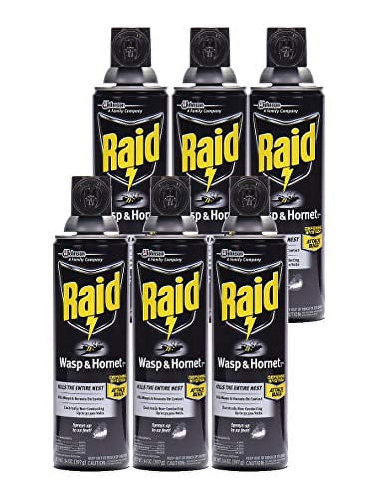 Raid Wasp Hornet Killer Spray (14 Ounce (Pack of 6) - Walmart.com
