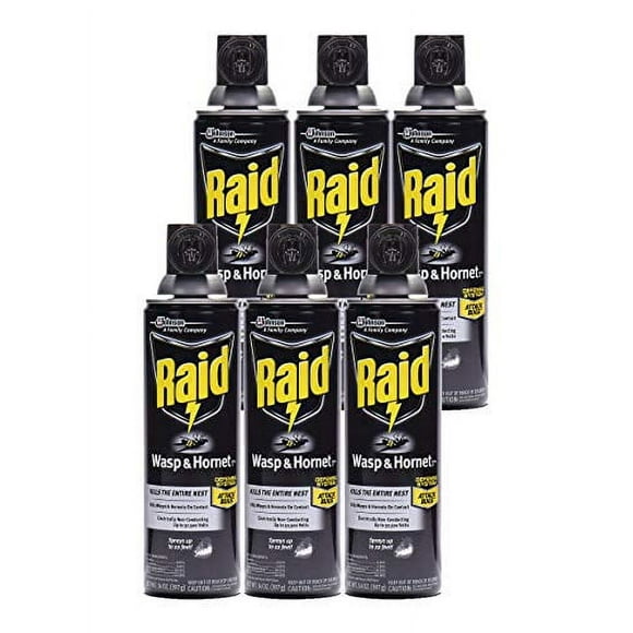 Raid Wasp And Hornet Killer Spray