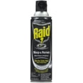 Raid Wasp & Hornet Killer Spray 14 oz - Walmart.com
