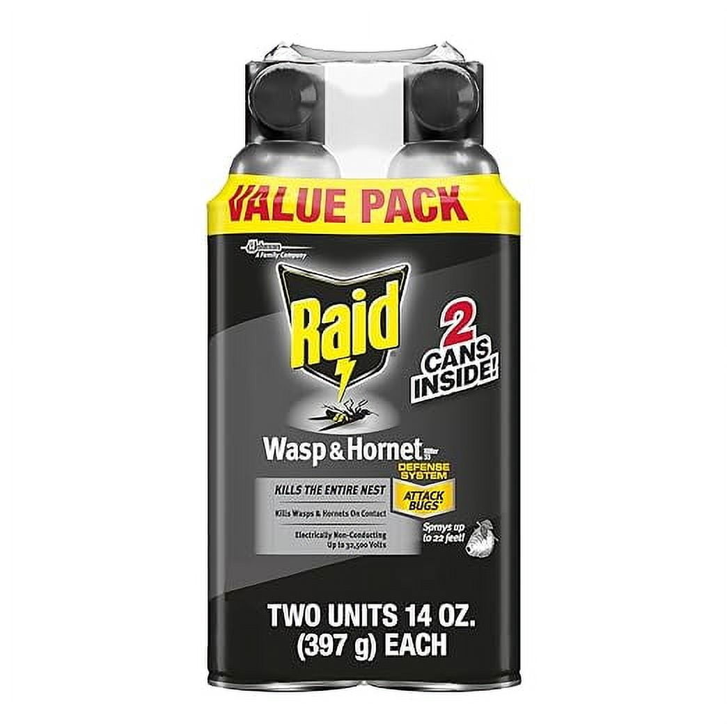 Raid Wasp & Hornet Killer Spray, Bug Killer Kills the Entire Nest, 14 ...