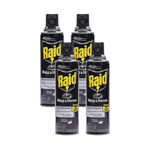 Wasp Spray in Pest Control - Walmart.com