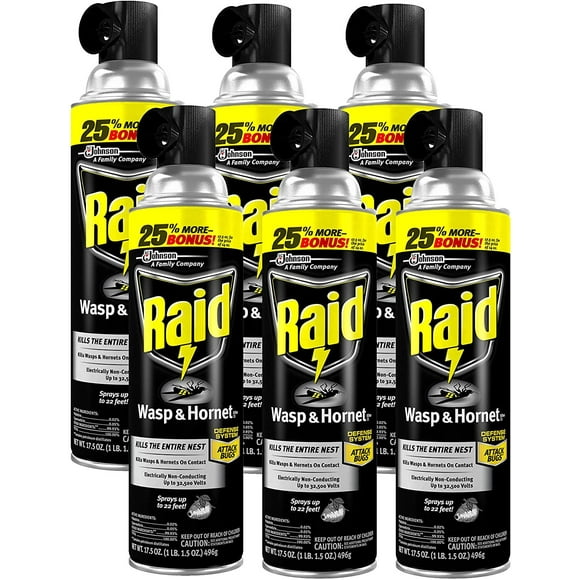 Raid Wasp And Hornet Killer Spray