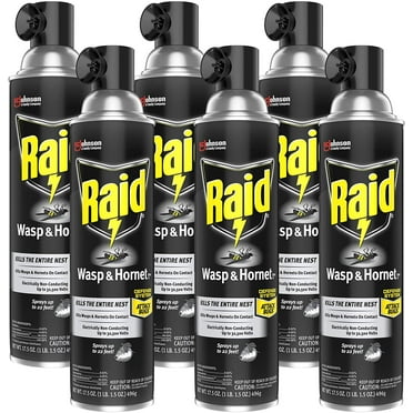 Raid Wasp and Hornet Spray 17.5 Ounces - Pack of 3 - Walmart.com