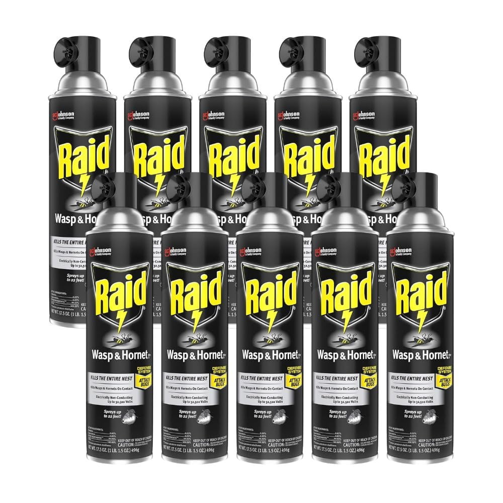 Raid Wasp and Hornet Killer Pack - 10 - Walmart.com