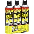 Raid Wasp and Hornet Spray 17.5 Ounces - Pack of 3 - Walmart.com