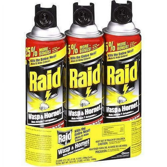 Raid Wasp And Hornet Killer Spray