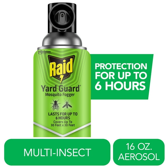 Raid Bug Spray