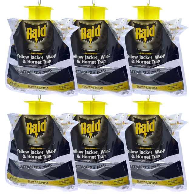 Raid Yellow Jacket, Wasp, & Hornet Trap, Disposable Plastic Trap with ...