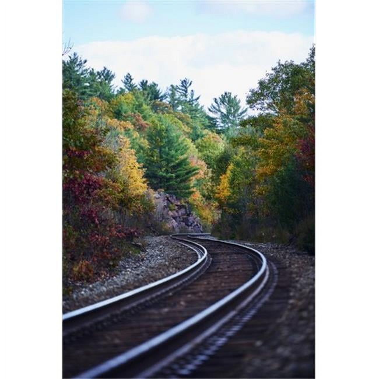 Railroad Tracks Through An Autumn Coloured Forest - Ontario Canada ...
