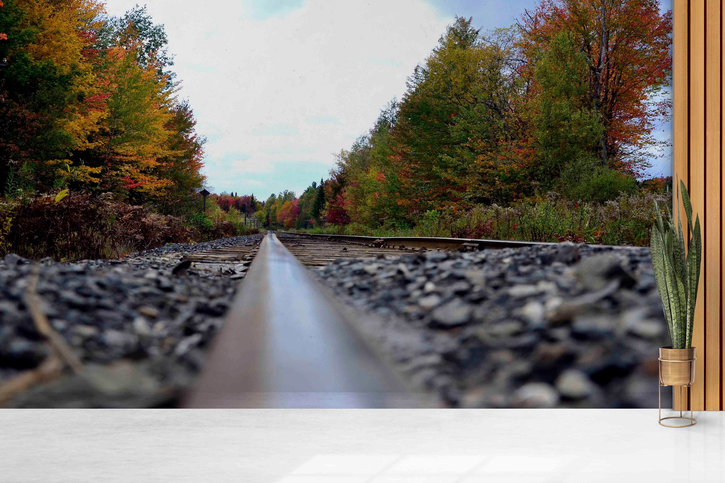 Railroad Wall Mural, Custom Wallpaper, 3d Wallpaper, Railroad Wall ...