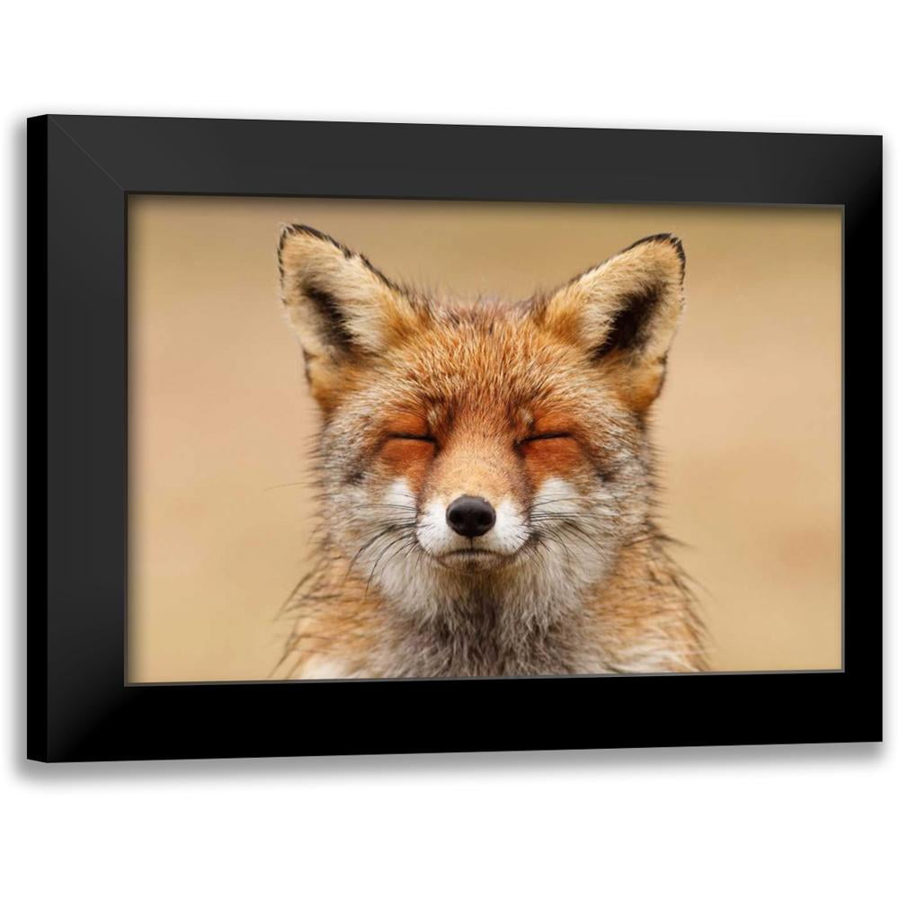 Raimond, Roeselien 24x17 Black Modern Framed Museum Art Print Titled ...