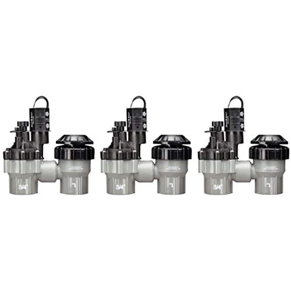 Rain Bird DASASVF075 Professional Grade Anti-Siphon Valve with Flow ...