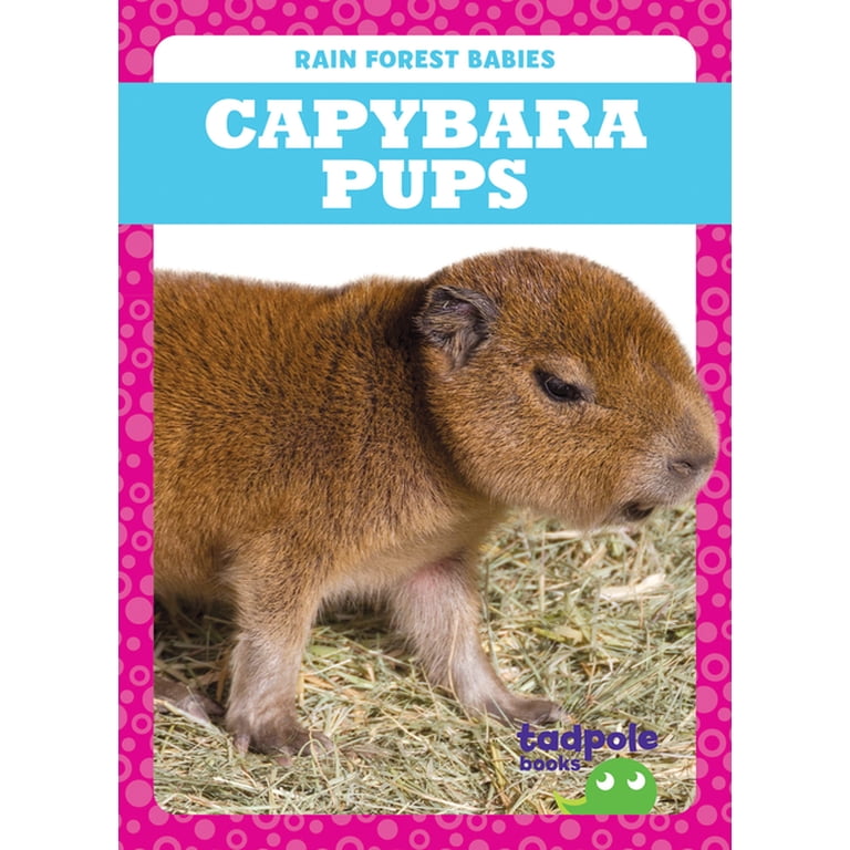 Capybara Pet Baby