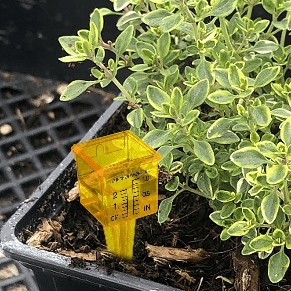 Rain Gauge Reusable Outdoor Plastic Sprinkler Measuring Tool 1.5Inch ...