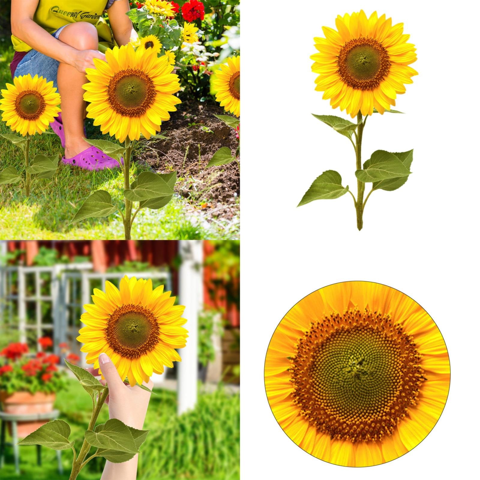 Rain Meter Tube Property Markers Flush Hummingbird Heater Feeder ...