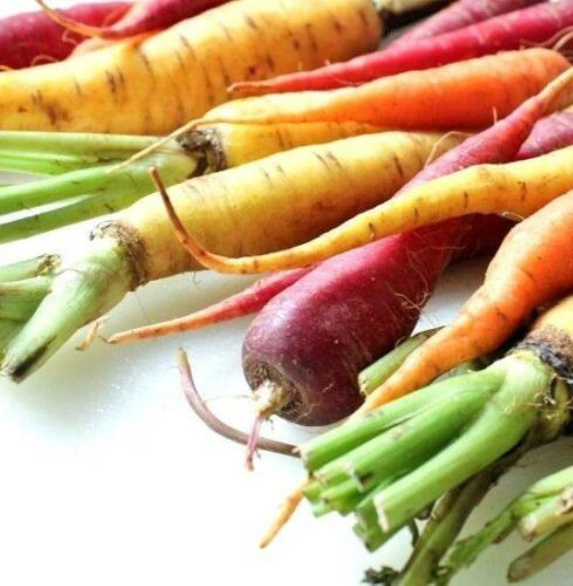 Rainbow Carrot Seeds/ Biennial/ Full Sun/60 Seeds 1/10 Gram/ Zellajake ...