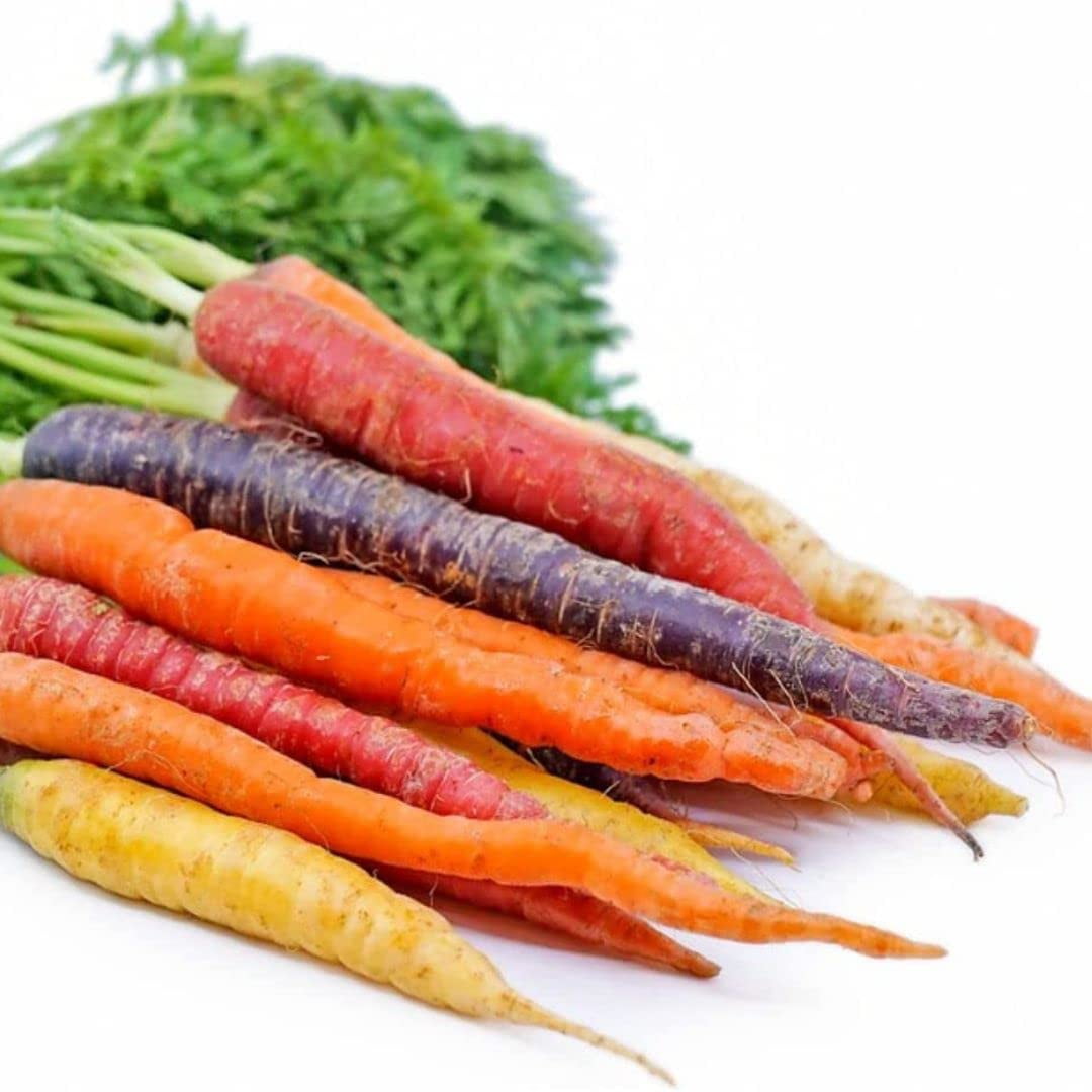 Rainbow Carrot Seeds for Planting | Non-GMO & Heirloom Vegetable Seeds ...