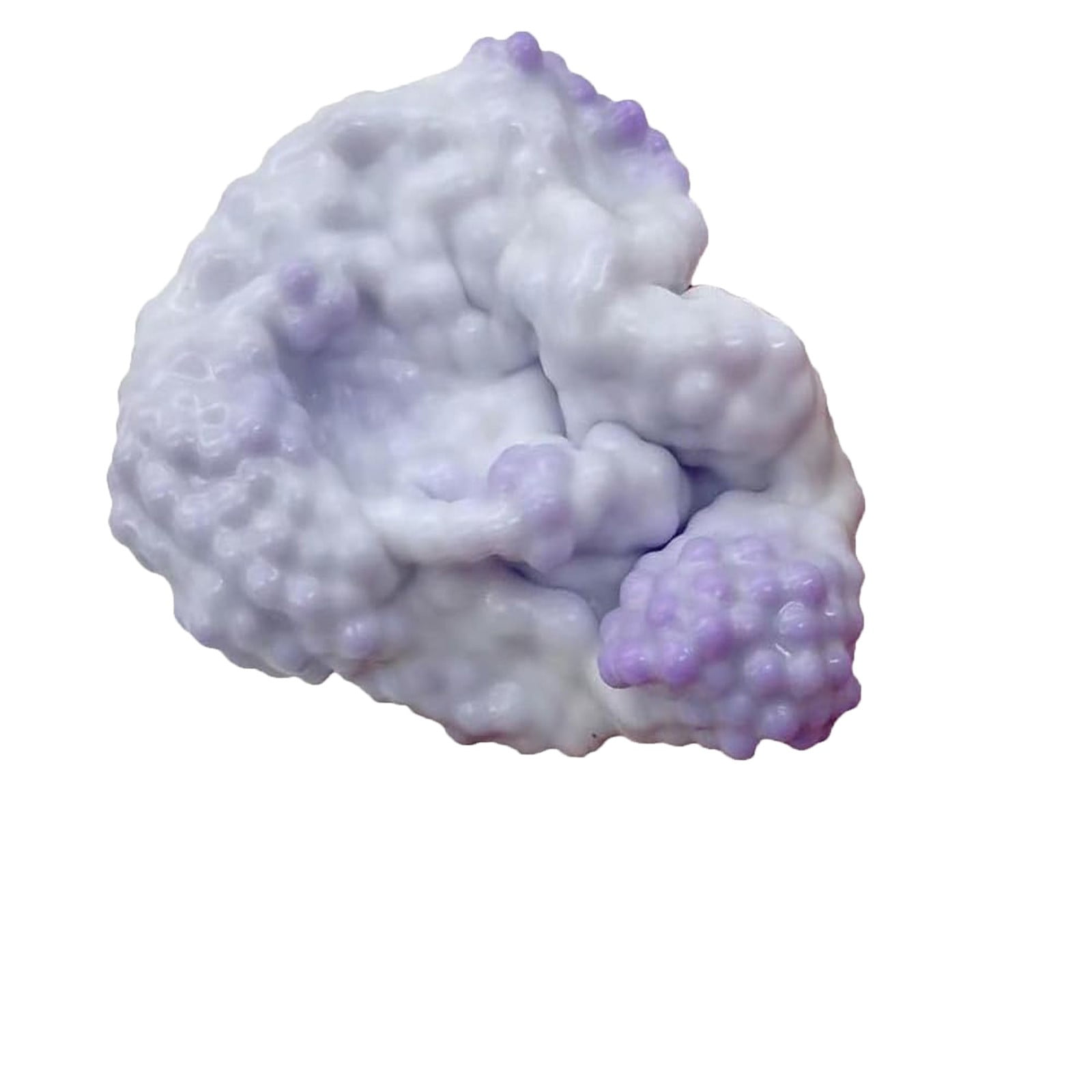 Rainbow Fraction Tiles with Tray Boy Toddler Pole Stress Cubes for ...