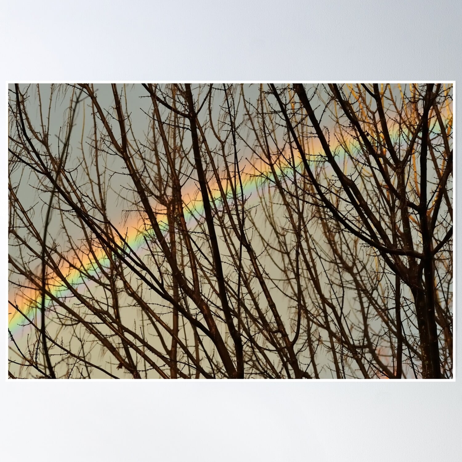 Rainbow Framework Poster Wall Art, Modern Wall Decor, 8x12 UNFRAMED ...
