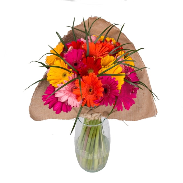 Rainbow Gerbera Bouquet with Burlap - Farm Direct Fresh Cut Flowers ...