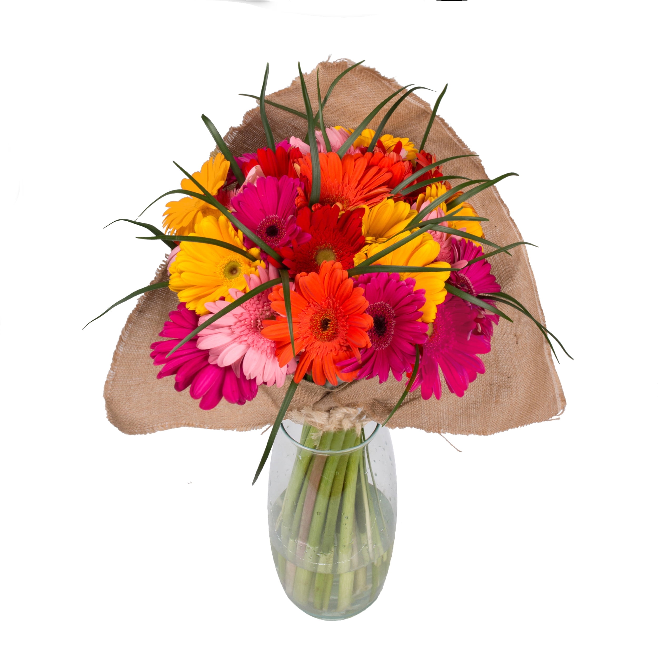 Rainbow Gerbera Bouquet with Burlap - Farm Direct Fresh Cut Flowers ...