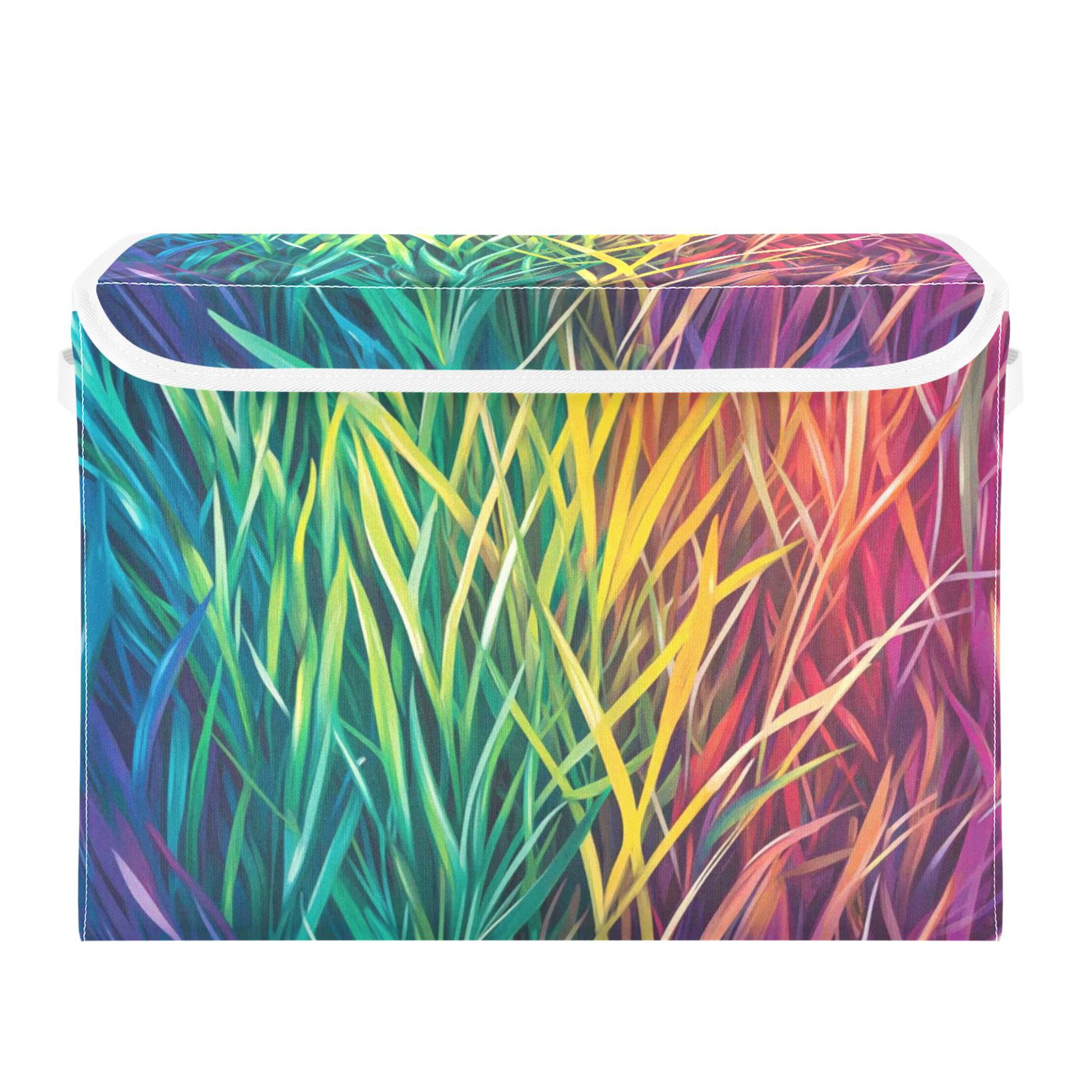 Rainbow Grass Foldable Storage Bin with Lid and Handle Collapsible ...