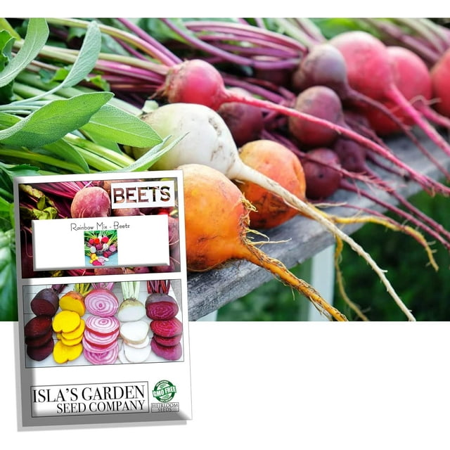 "Rainbow Mix" Beet Seeds for Planting, 100+ Heirloom Seeds Per Packet ...