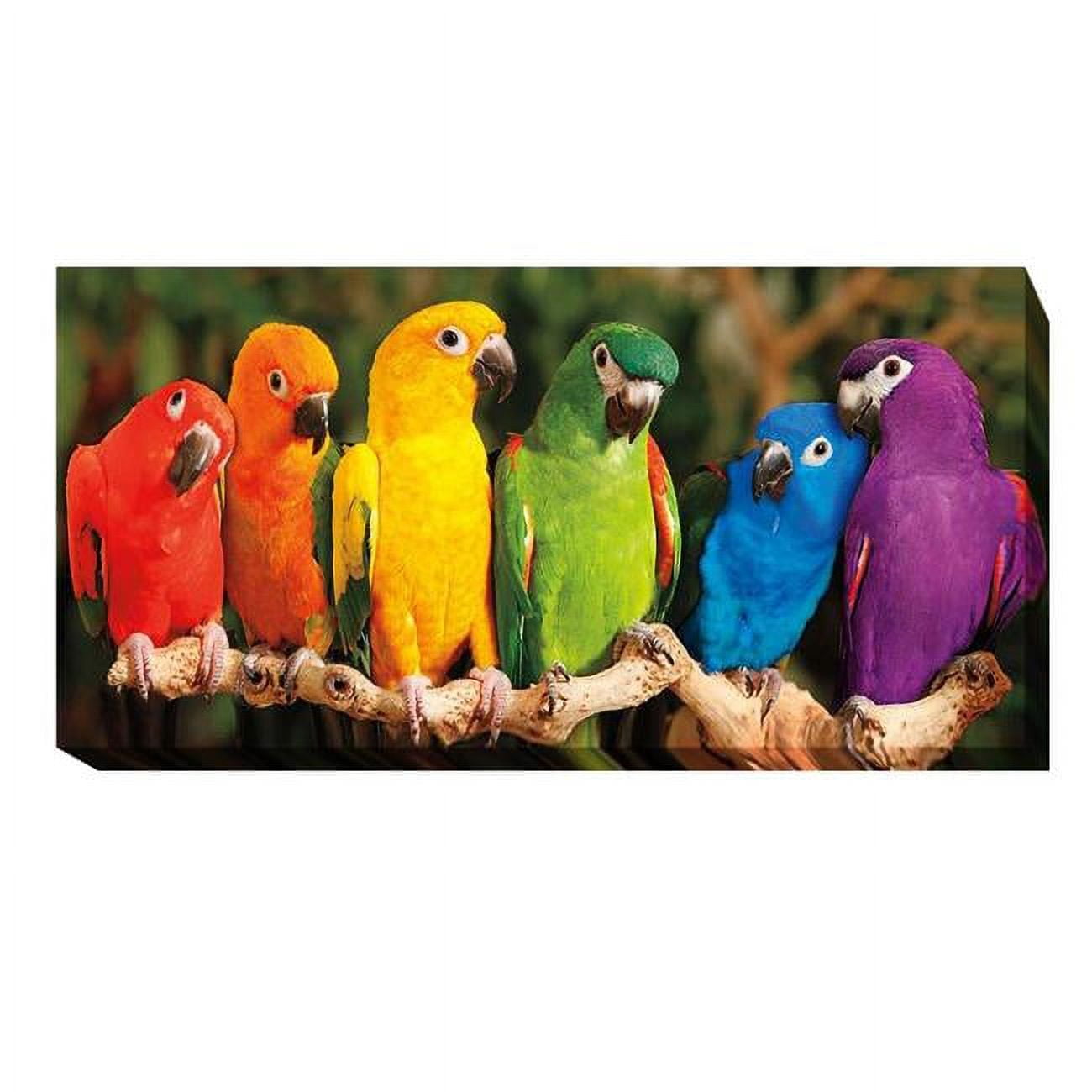 Rainbow Parrots by Mike Jones Premium Gallery-Wrapped Canvas Giclee Art ...