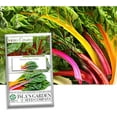 Rainbow Swiss Chard Seeds, 300+ Heirloom Seeds Per Packet, (Isla's ...