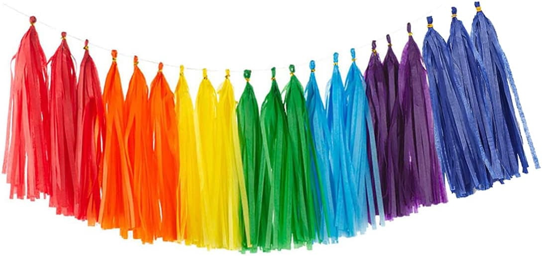 Rainbow Tassel Garland Tissue Paper Tassel Banner Decoration for ...
