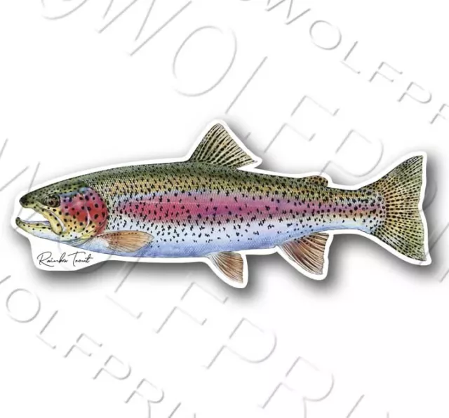 Rainbow Trout Fish Sticker Walleye Bass Boat Car Window Sticker Phone ...