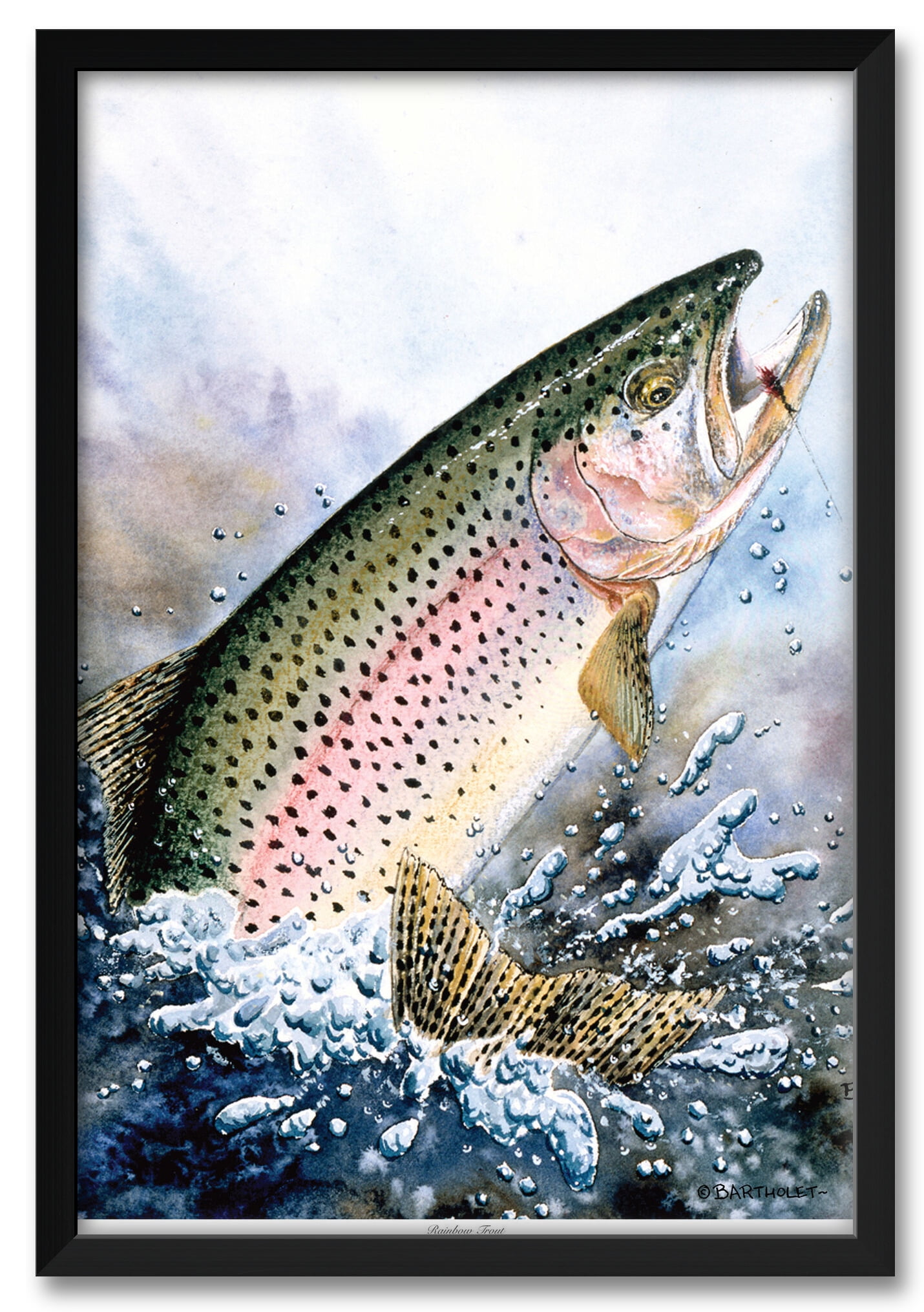 Rainbow Trout Professionally Framed Art Print from Watercolor by Artist ...