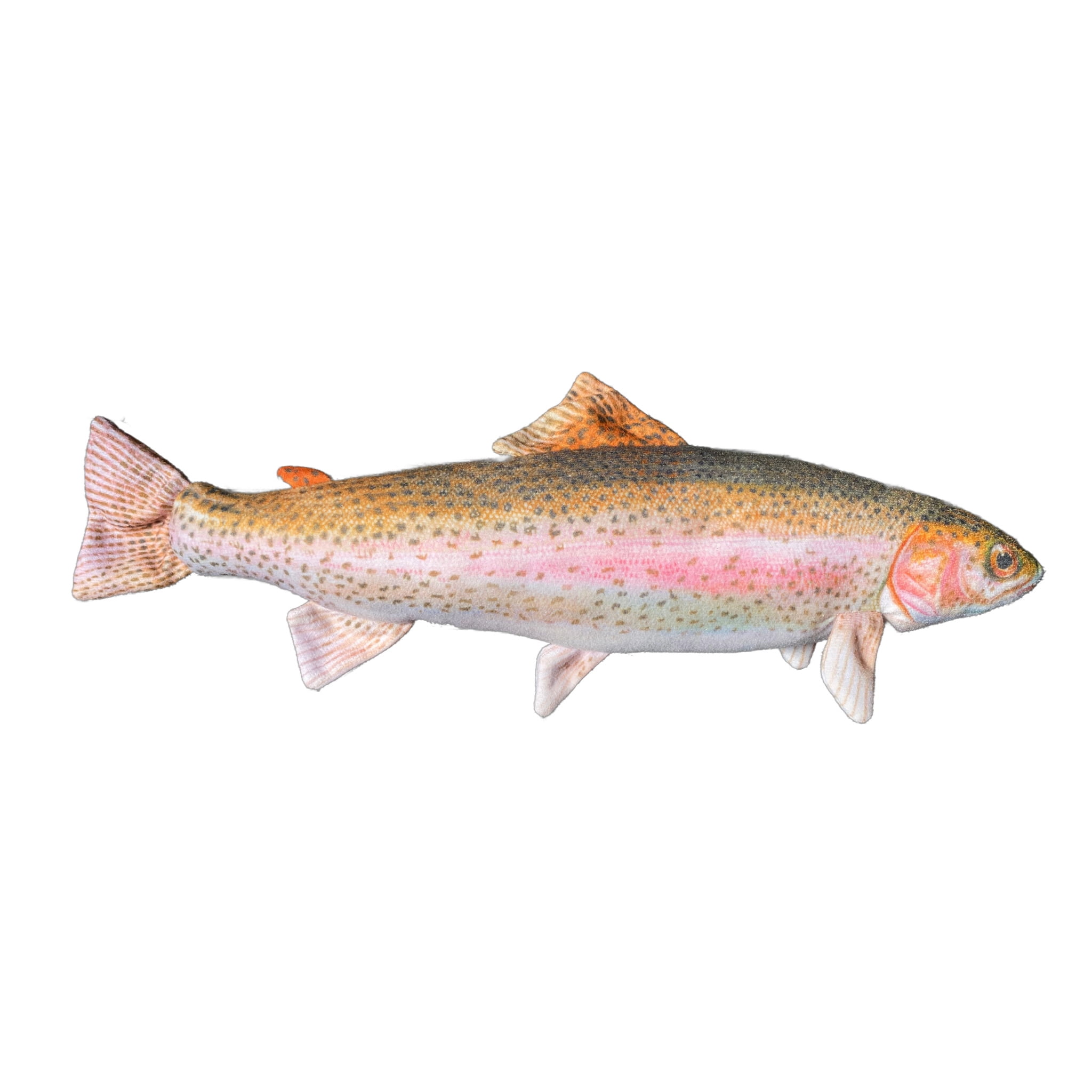 Rainbow Trout Velcro hooks Fishing Lures with 4" X 12.5", 4 Count ...