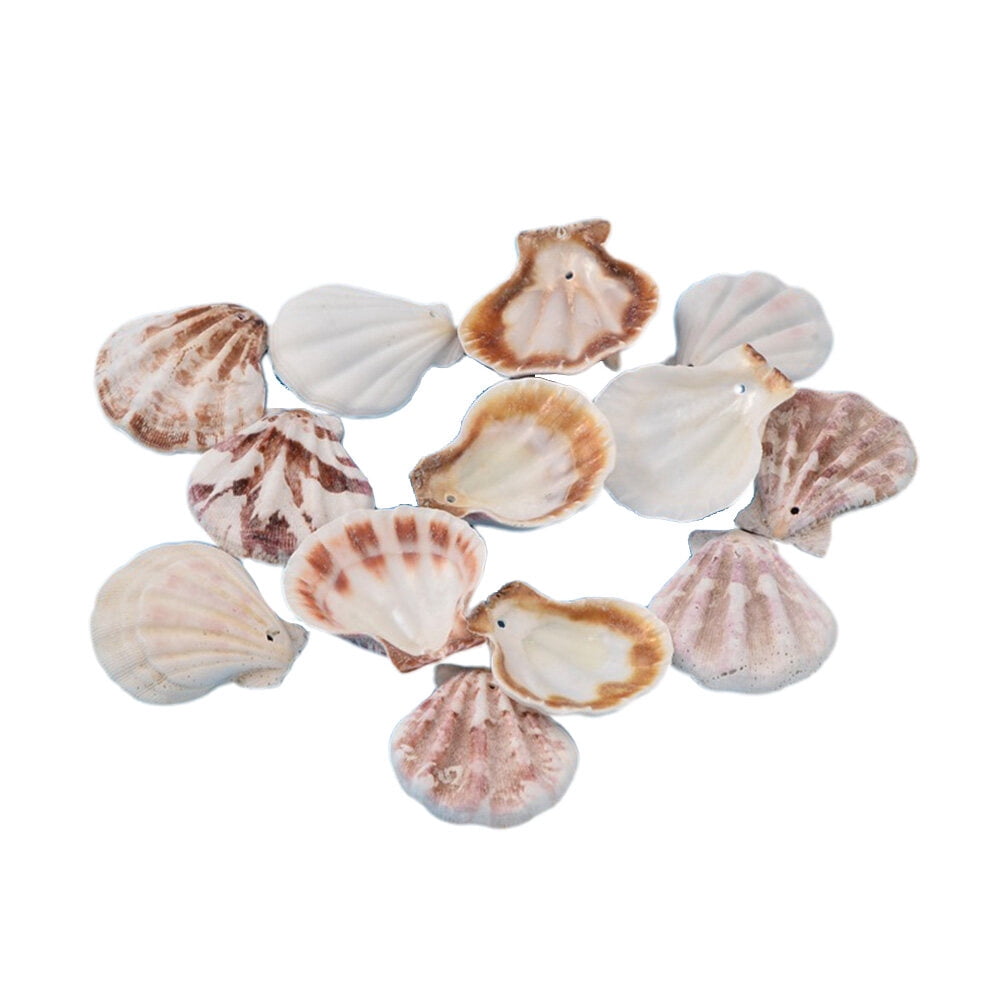 Raindrops 1 Pack 500g Natural Big Shell DIY Craft Charms for Home ...