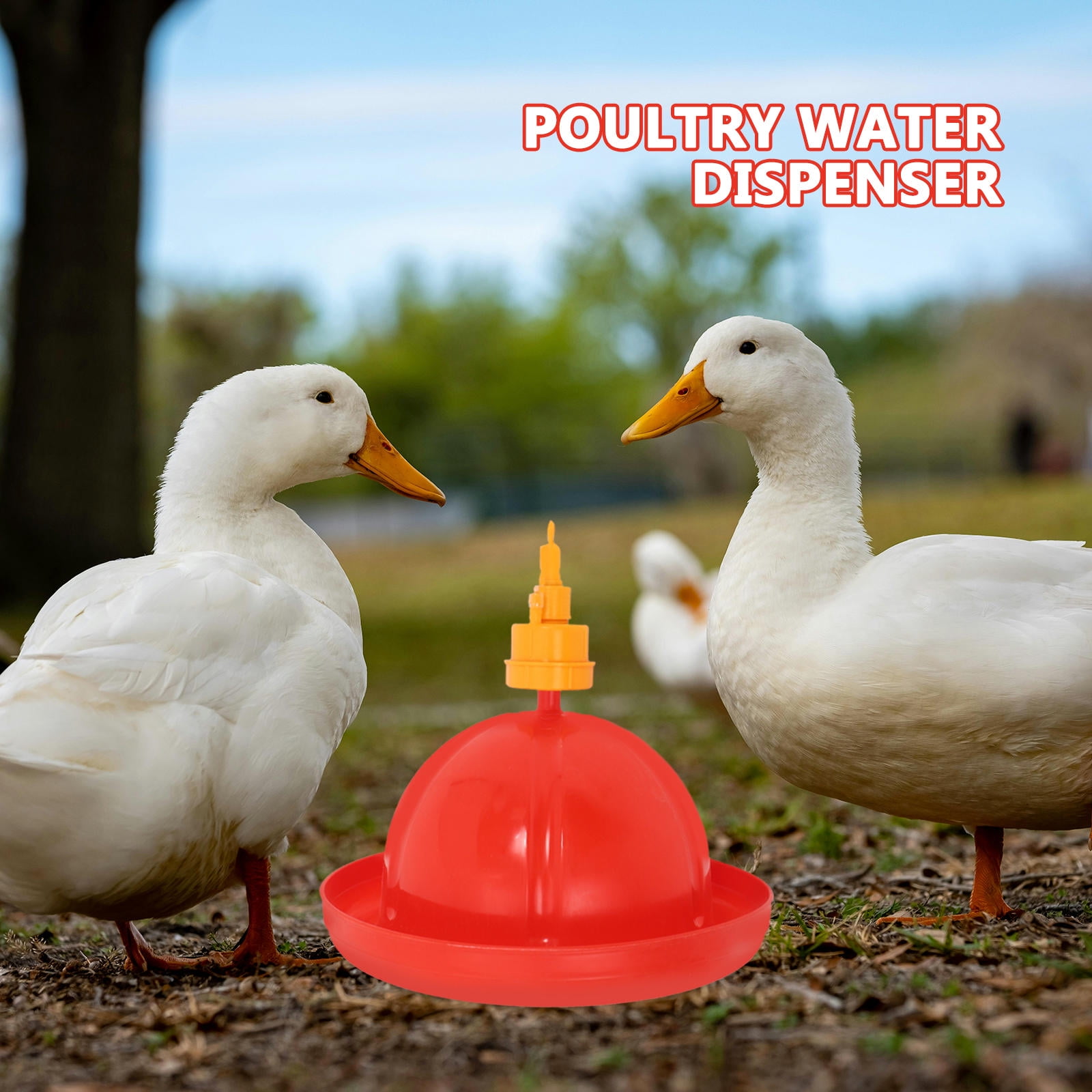 Raindrops 1 Set Chicken Waters Chicken Feeder Kit Chicken Water Feeder ...