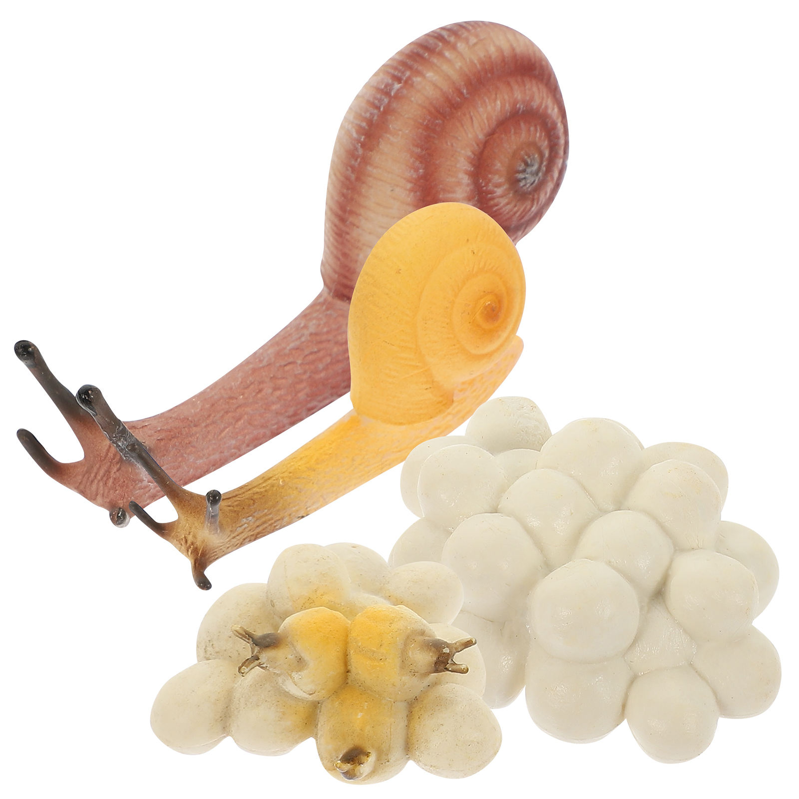 Raindrops 1 Set Kids Small Toys Snail Growth Cycle For Children ...