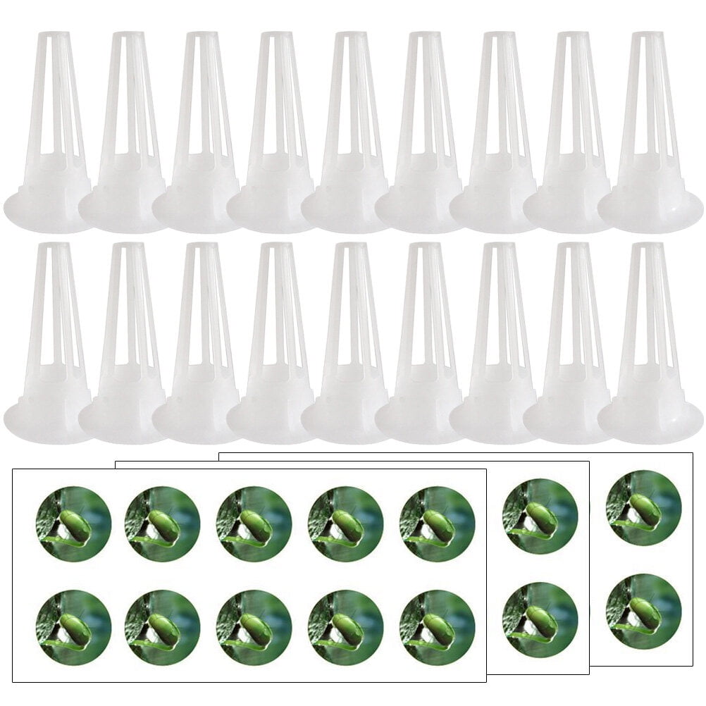 Raindrops 1 Set Of Grow Baskets Hollow Sprout Cultivation Basket ...