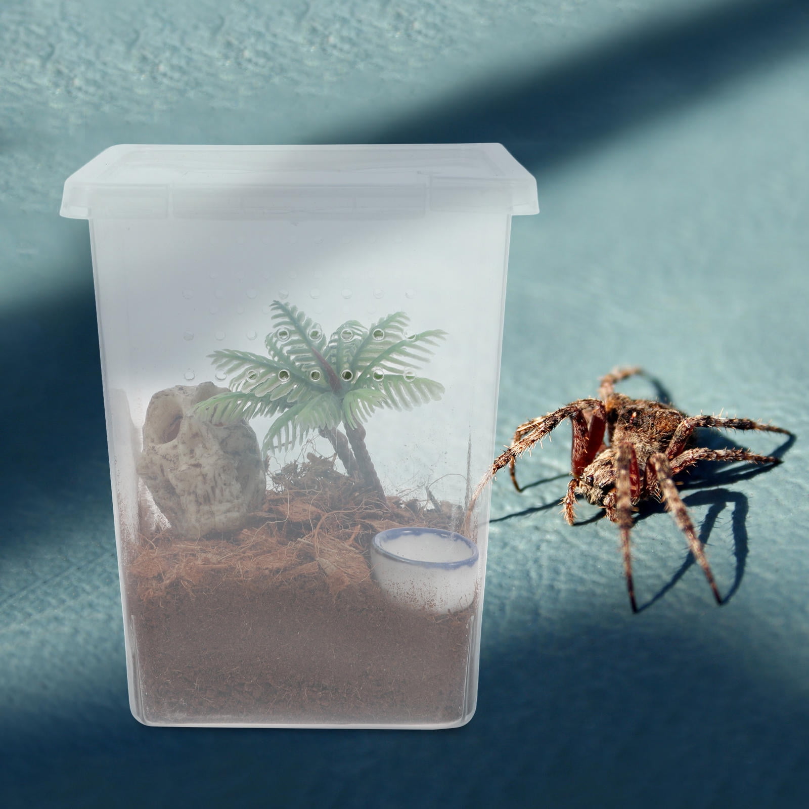 Raindrops 1 Set Of Small Insect Feeding Box Spider Breeding Box Insect ...