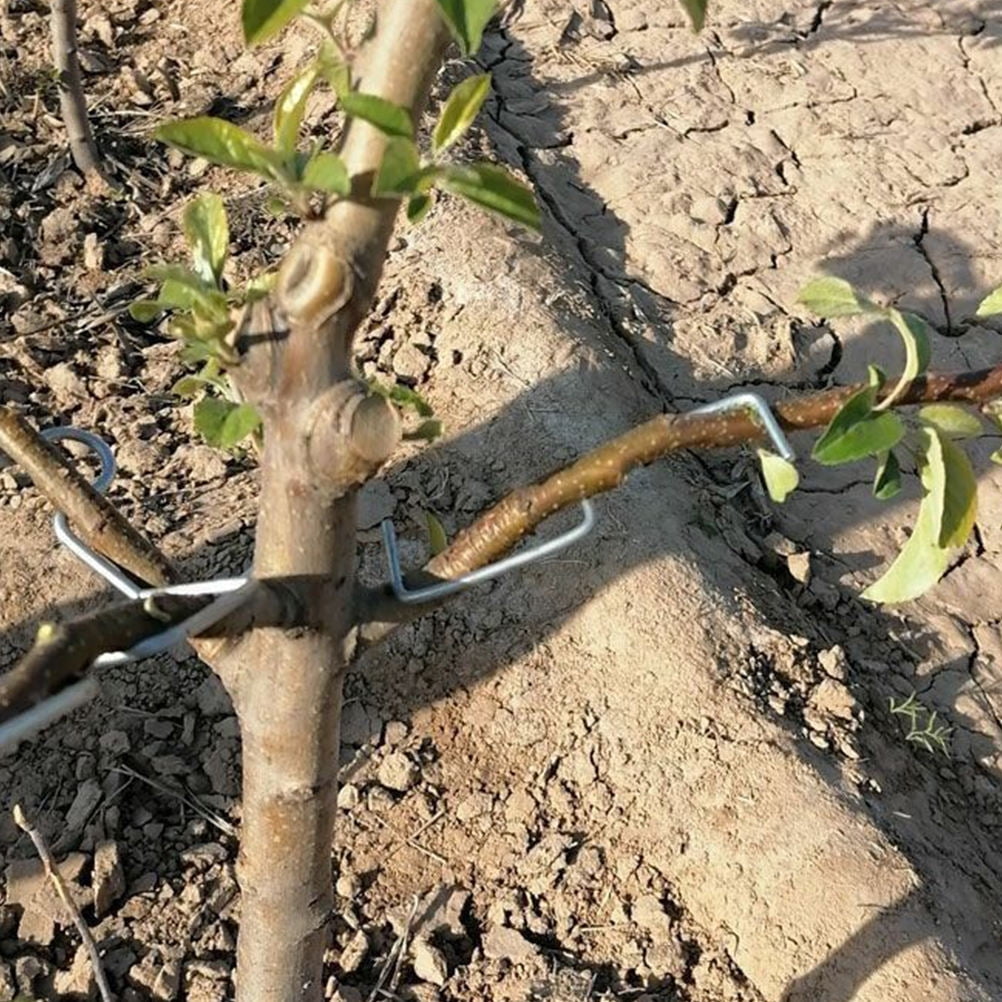 Raindrops Bad Weather Conditions Branch Bending Tool Silver 1 Set ...