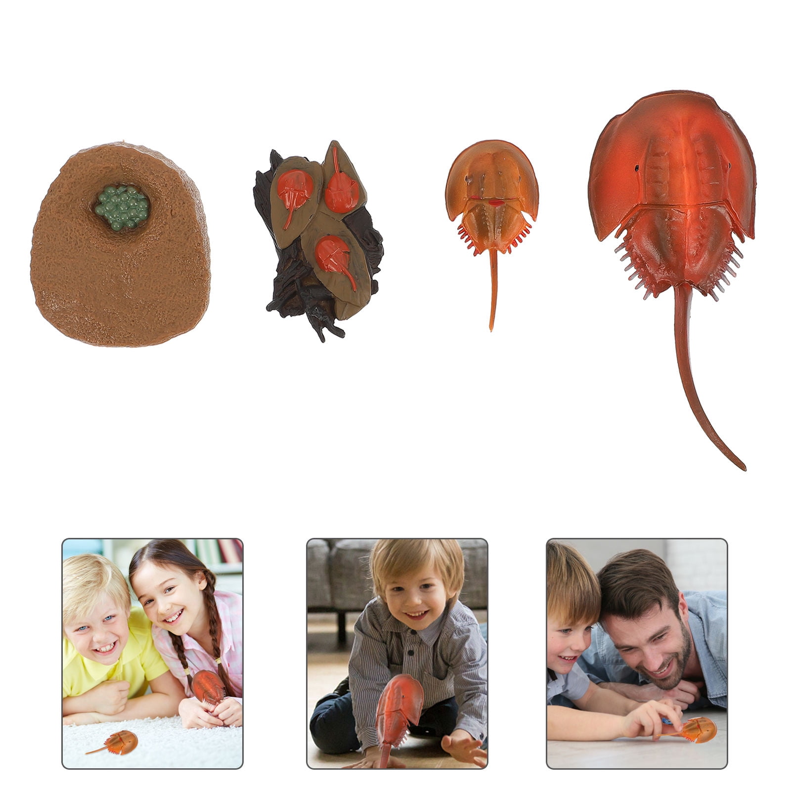 Raindrops 1 Set Simulation Ocean Creature Models Assorted Color Mini ...
