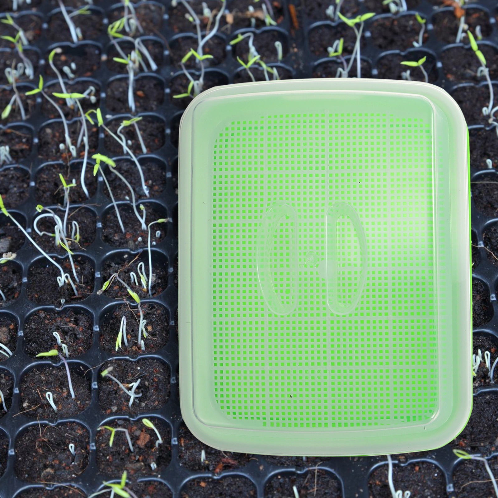 Raindrops 1 Set Soilless Hydroponics Sprouter Grow Tray Lidded ...