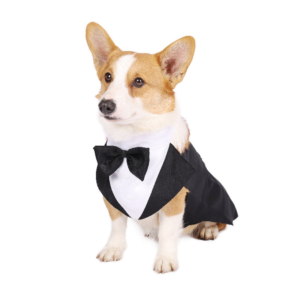 Raindrops 1 Set Tuxedo Suit for Dogs in White and Black Pet Formal Wear ...