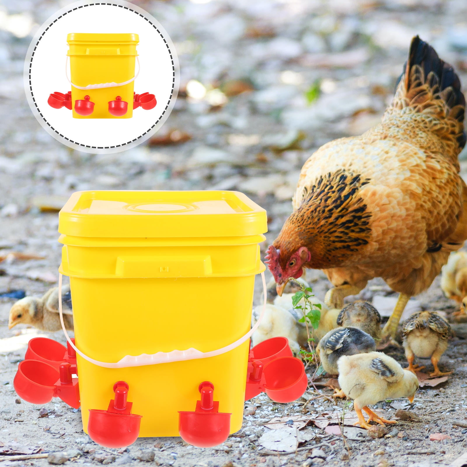 Raindrops 1 Set of Portable Poultry Feeder Chickens Food Container ...